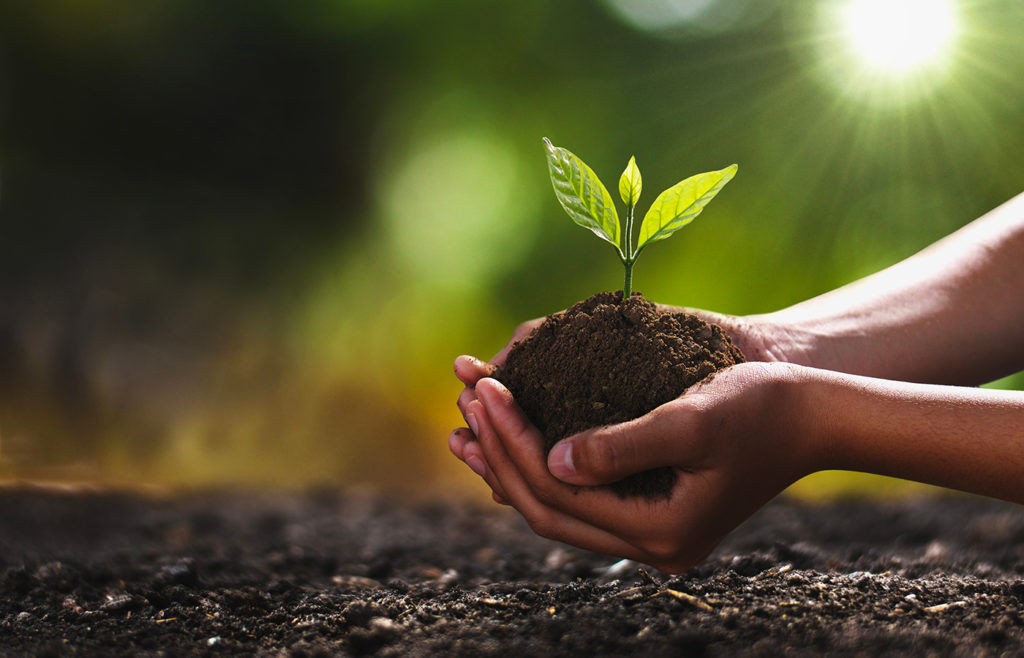 Forenede Service - Forenede Service DK